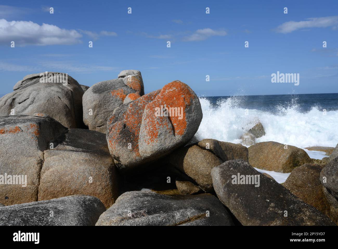 The beach and surrounding crustose orange lichen boulders are ...