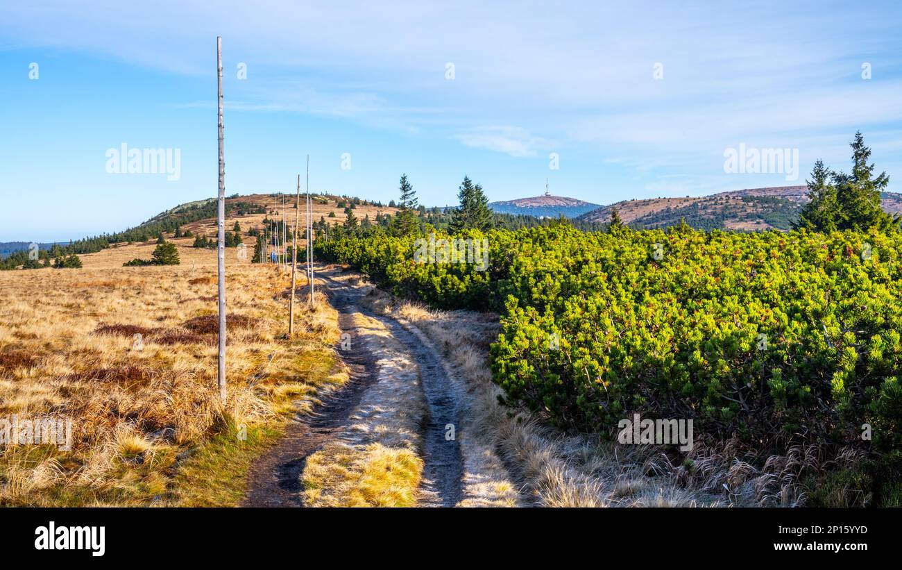 Narrow mountain tourist path marked with wooden poles. Cold and sunny ...