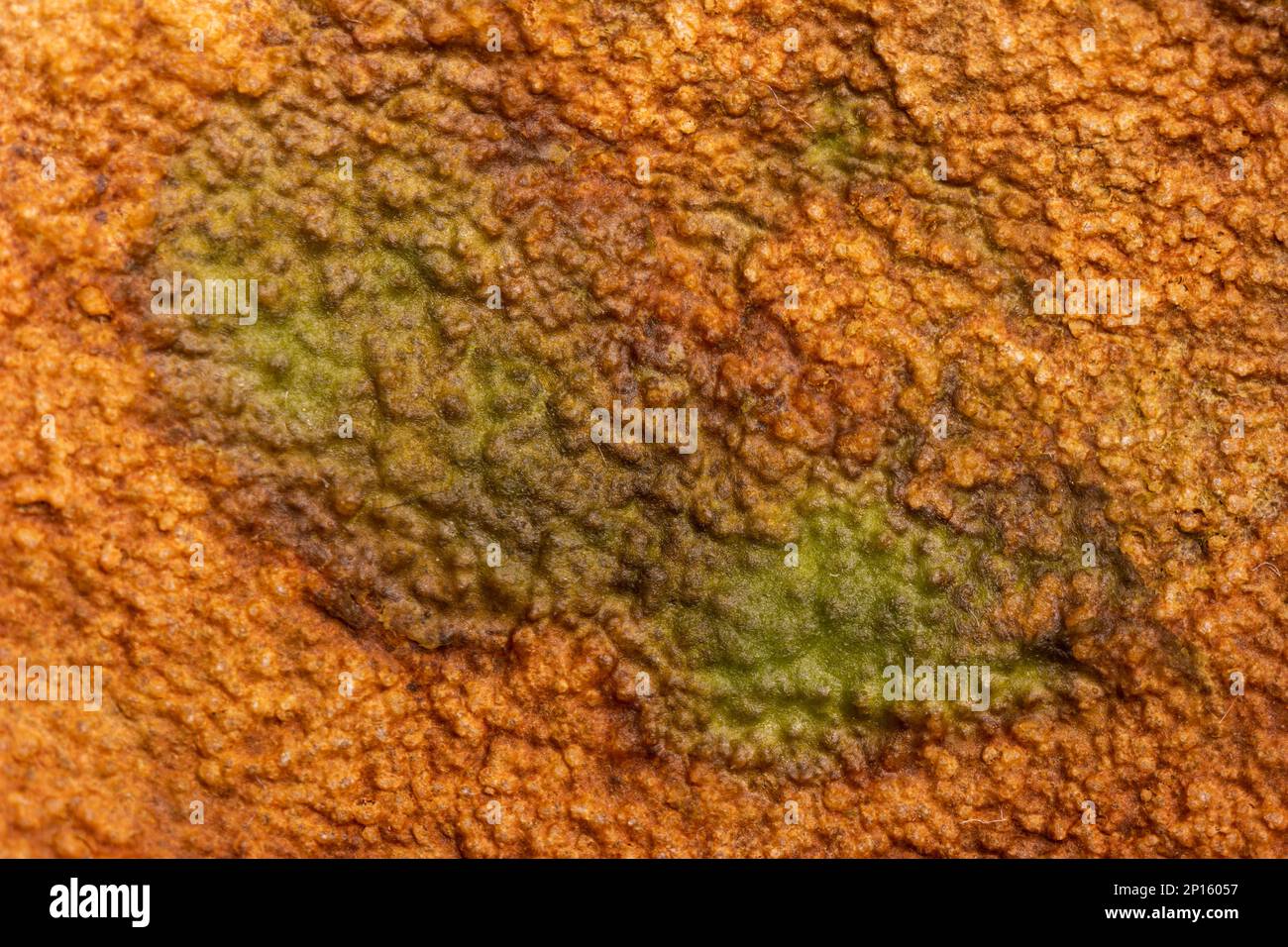 Burned oily leftover grease fat in a pan macro shot air bubbles top ...