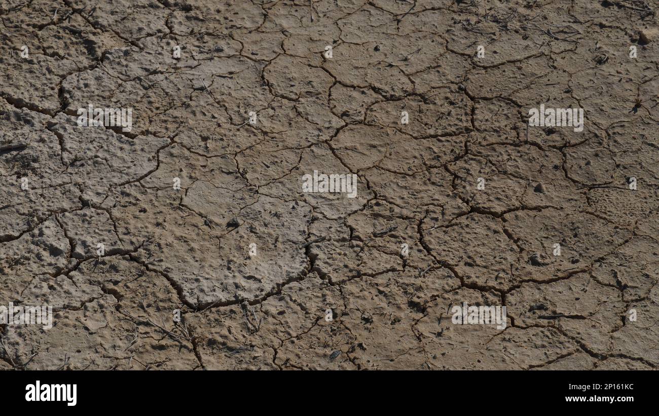 Climate change drought land. Global warming issue, cracked mud in the ...