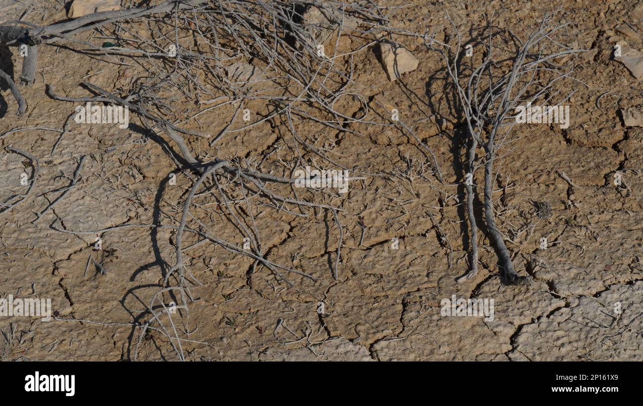 Climate change drought land. Global warming issue, cracked mud in the ...