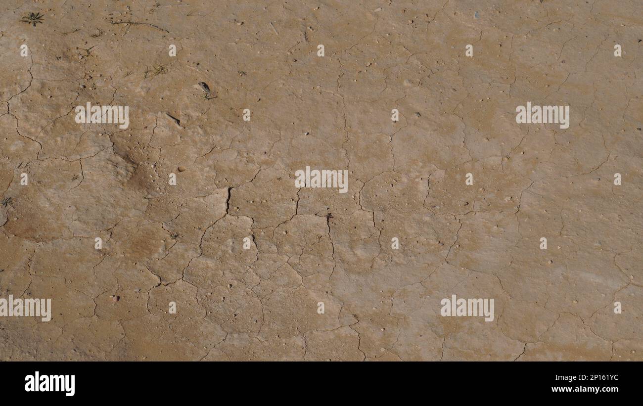 Climate change drought land. Global warming issue, cracked mud in the ...