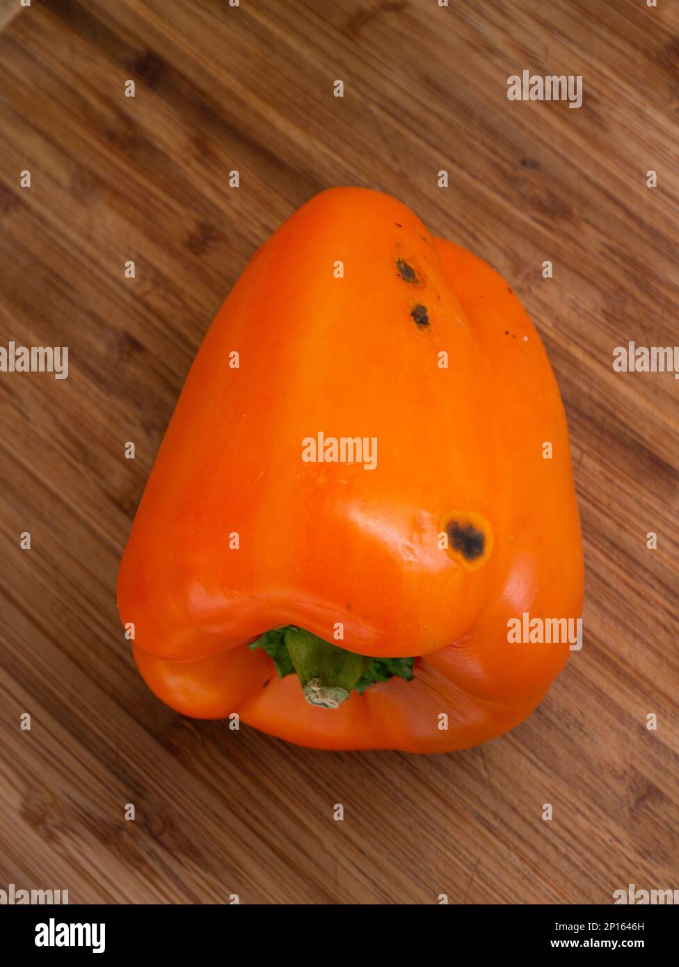 Black Spots On Bell Peppers Bell Pepper Chinese Giant