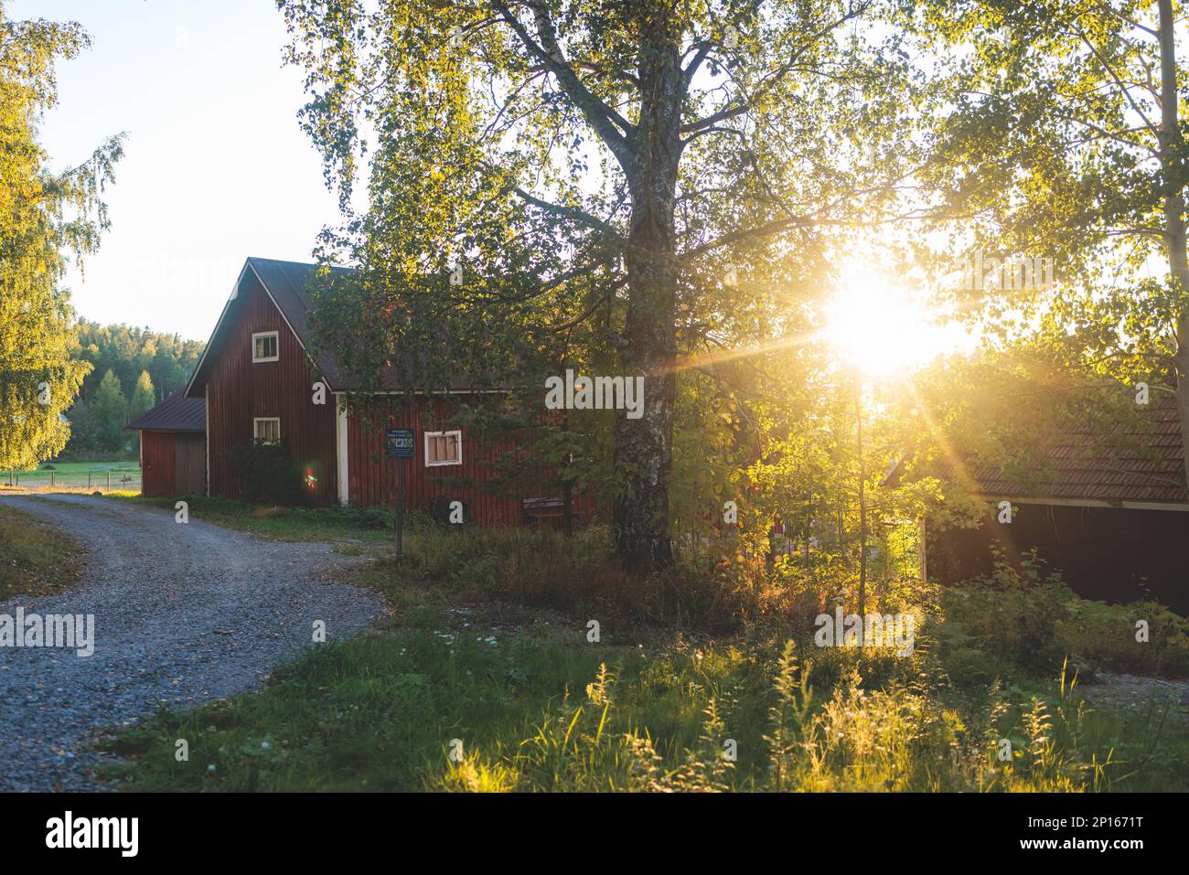 View of classical finnish landscape with traditional wooden red cabin ...