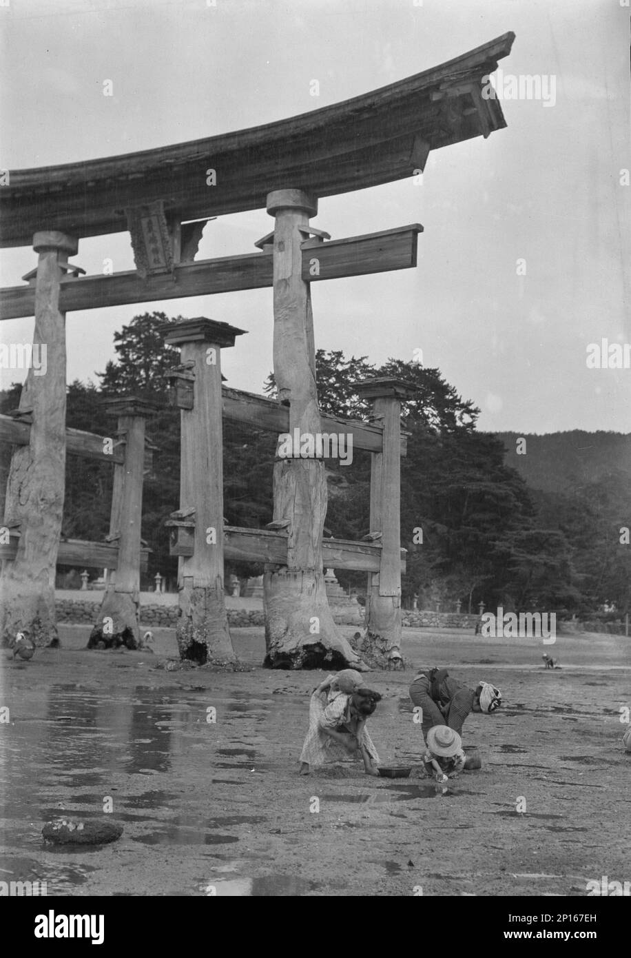 Itsukushima Shinto Shrine, Japan, 1908 Stock Photo - Alamy