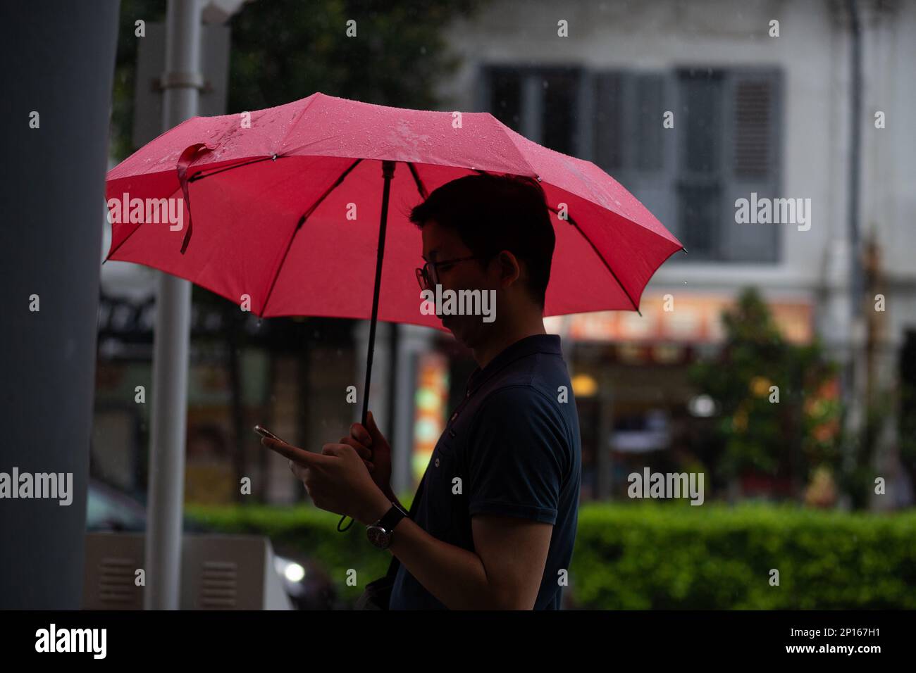 Man With Red Umbrella in Heavy Rain, Singapore Stock Photo - Alamy