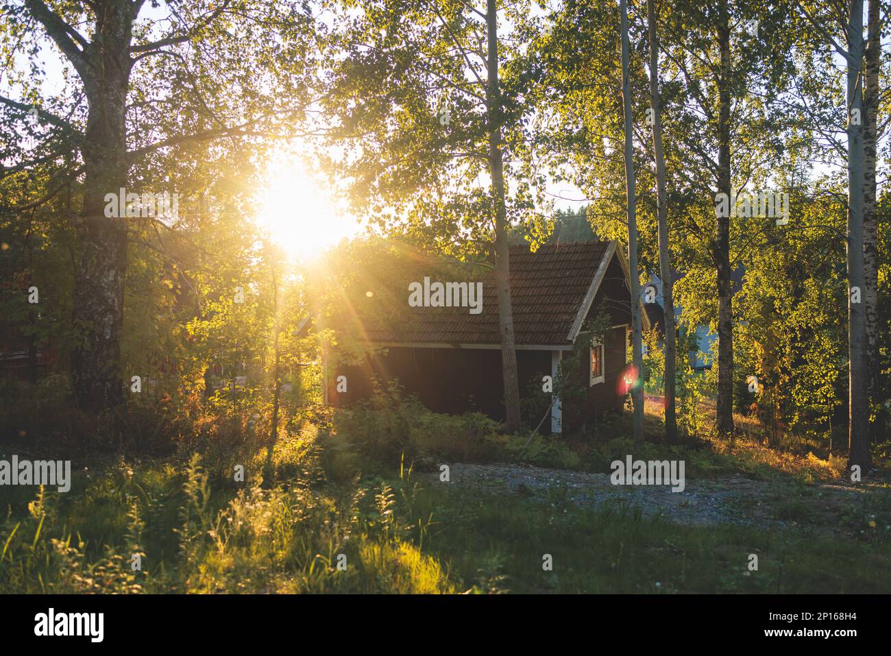 View of classical finnish landscape with traditional wooden red cabin ...