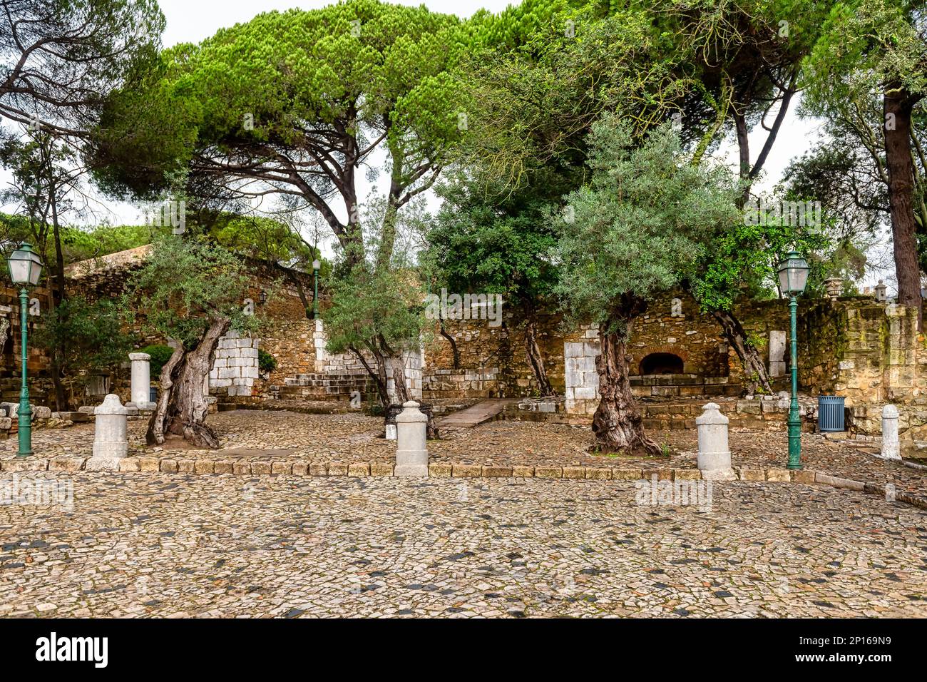 A garden or backyard with very old trees inside of the military ...