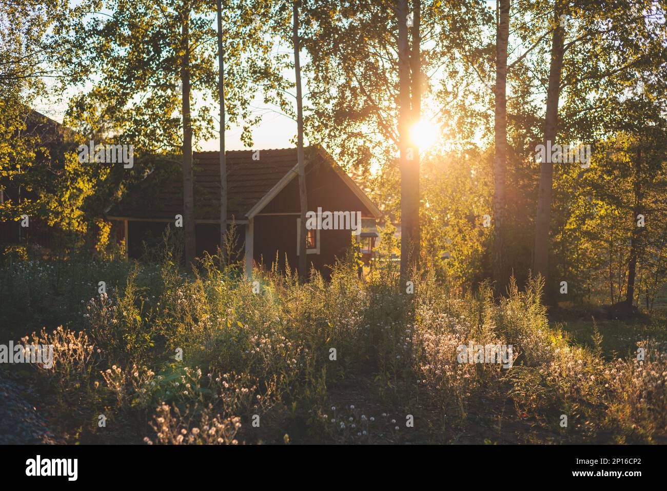 View of classical finnish landscape with traditional wooden red cabin ...