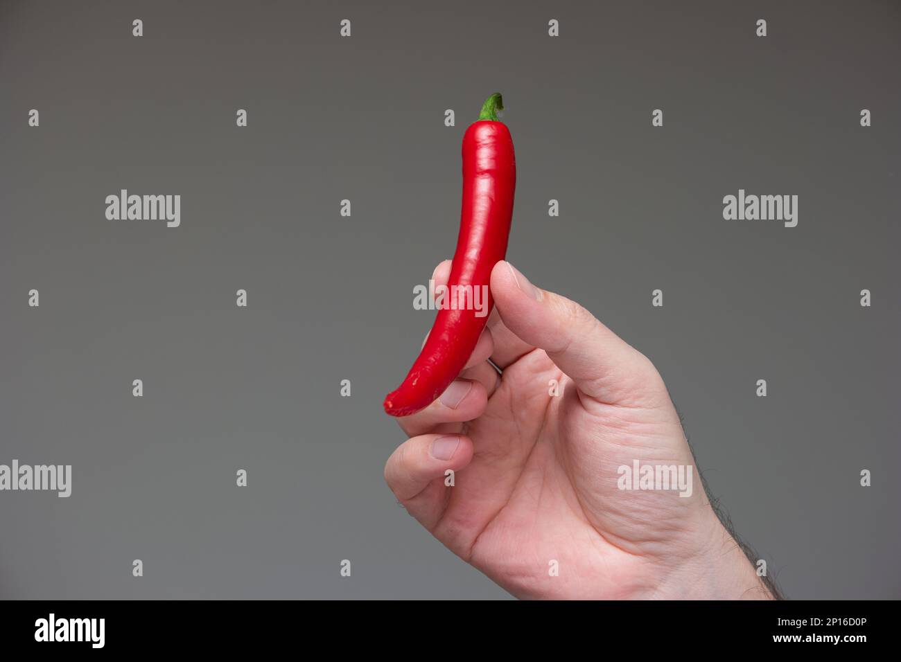 Red fresh raw chili pepper held in hand by Caucasian male hand isolated ...