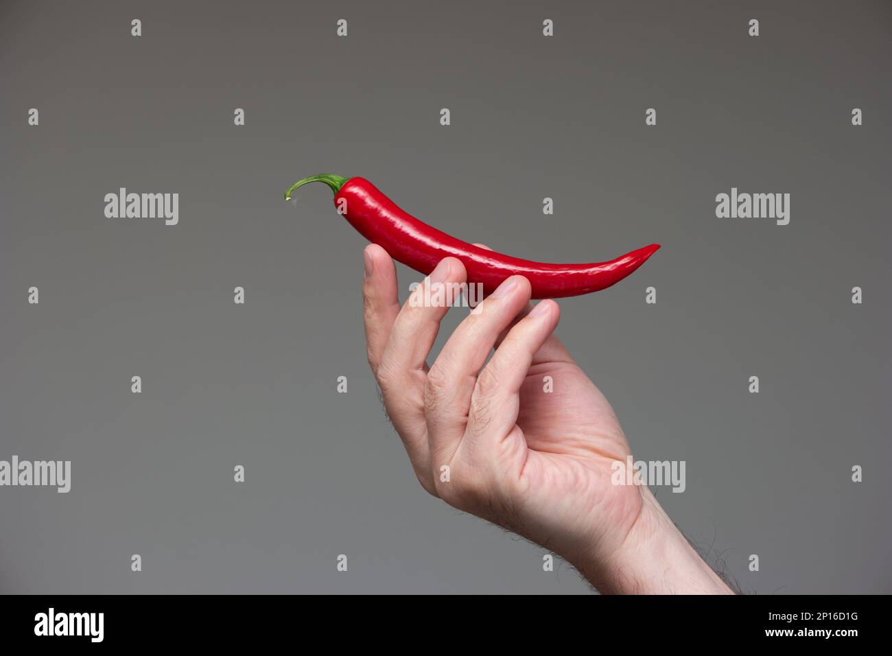 Red fresh raw chili pepper held in hand by Caucasian male hand isolated ...