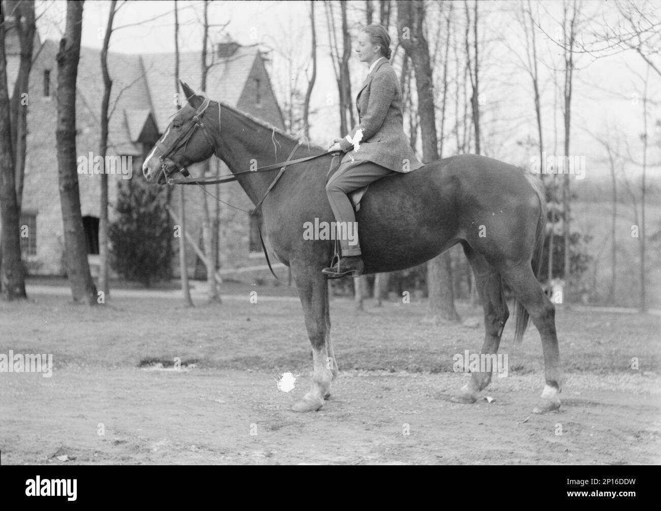 Manners, Alice G., Mrs., on horseback, between 1936 and 1942 Stock ...