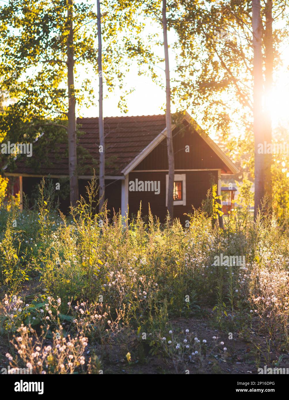 View of classical finnish landscape with traditional wooden red cabin ...