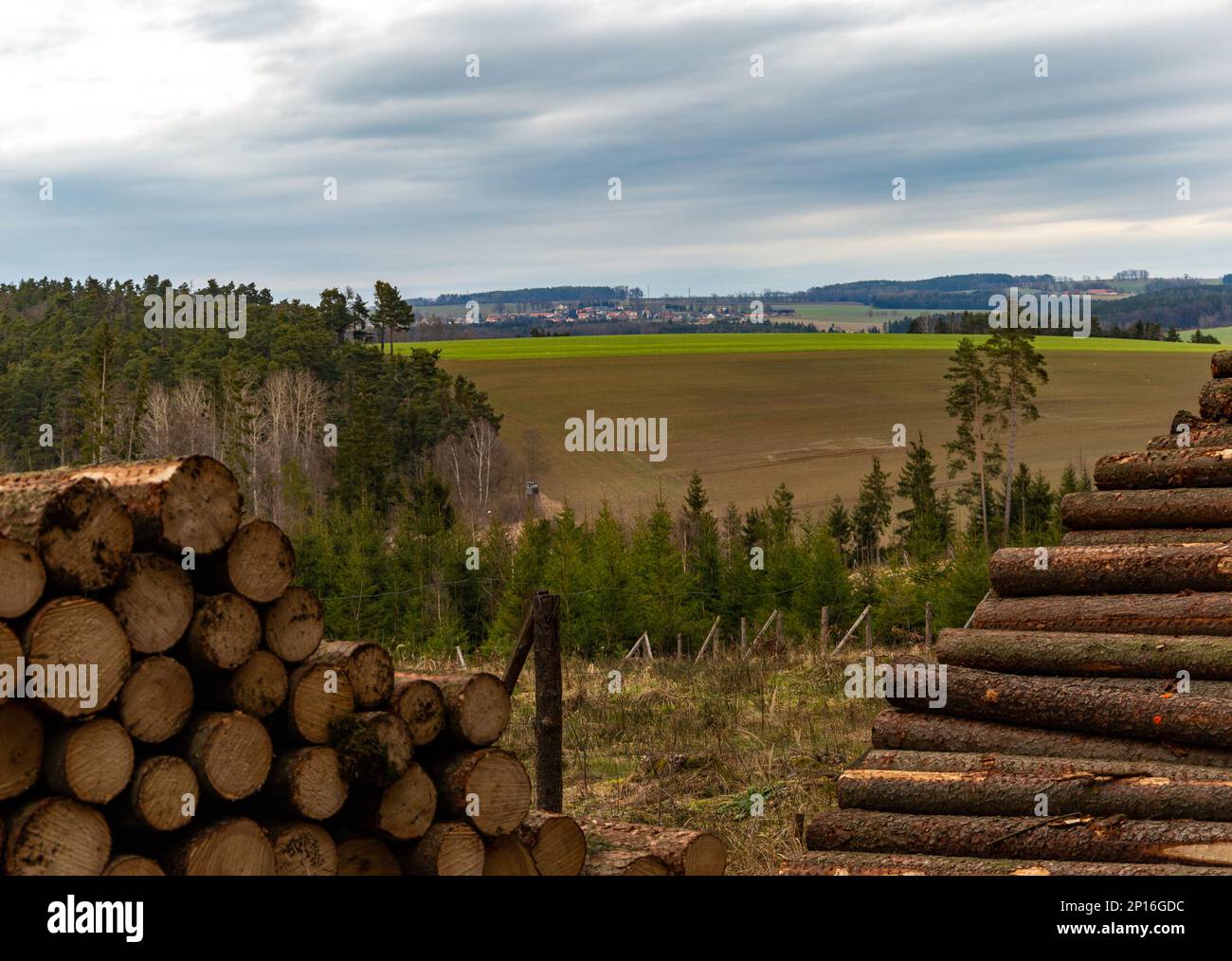 Buying timber hi-res stock photography and images - Alamy