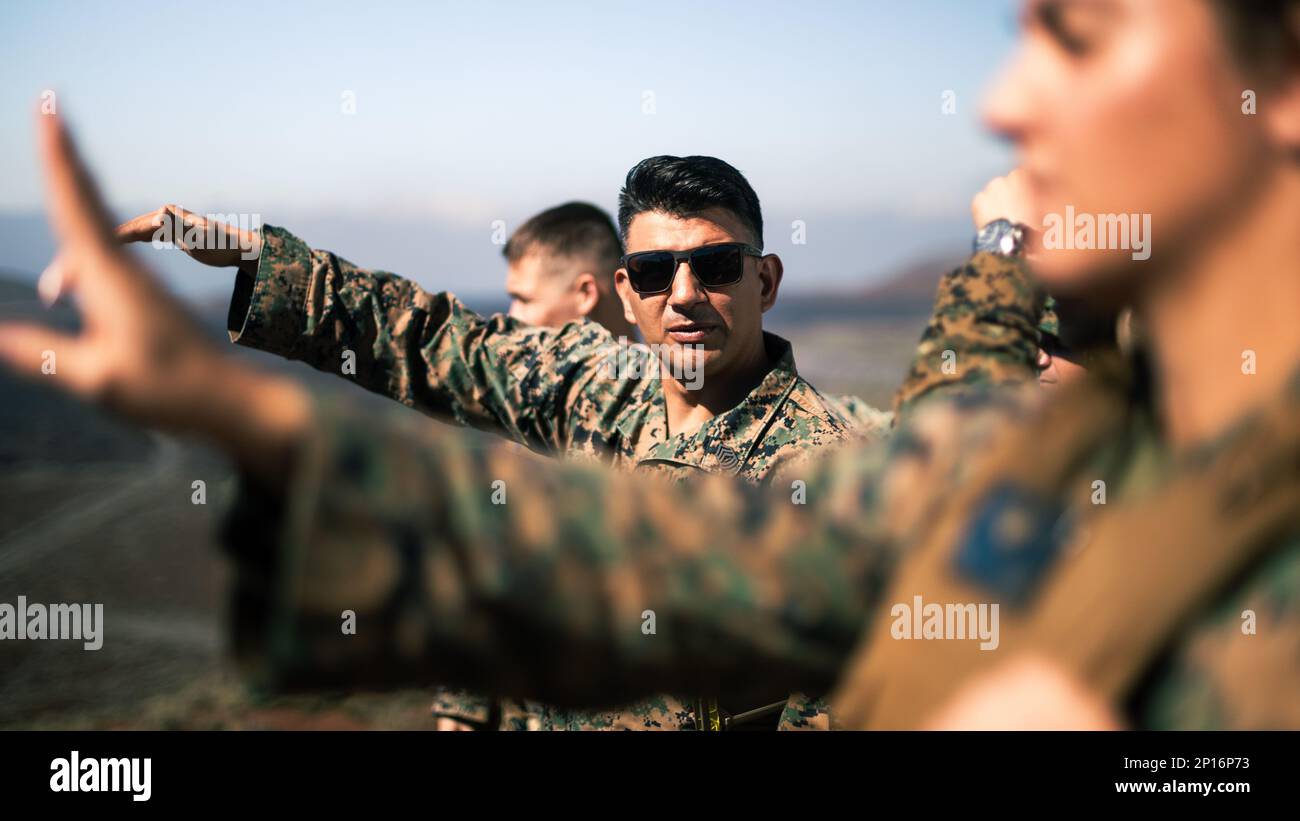 U.S. Marine Corps Gunnery Sgt. Raymond Alcala, a Joint Terminal Attack ...