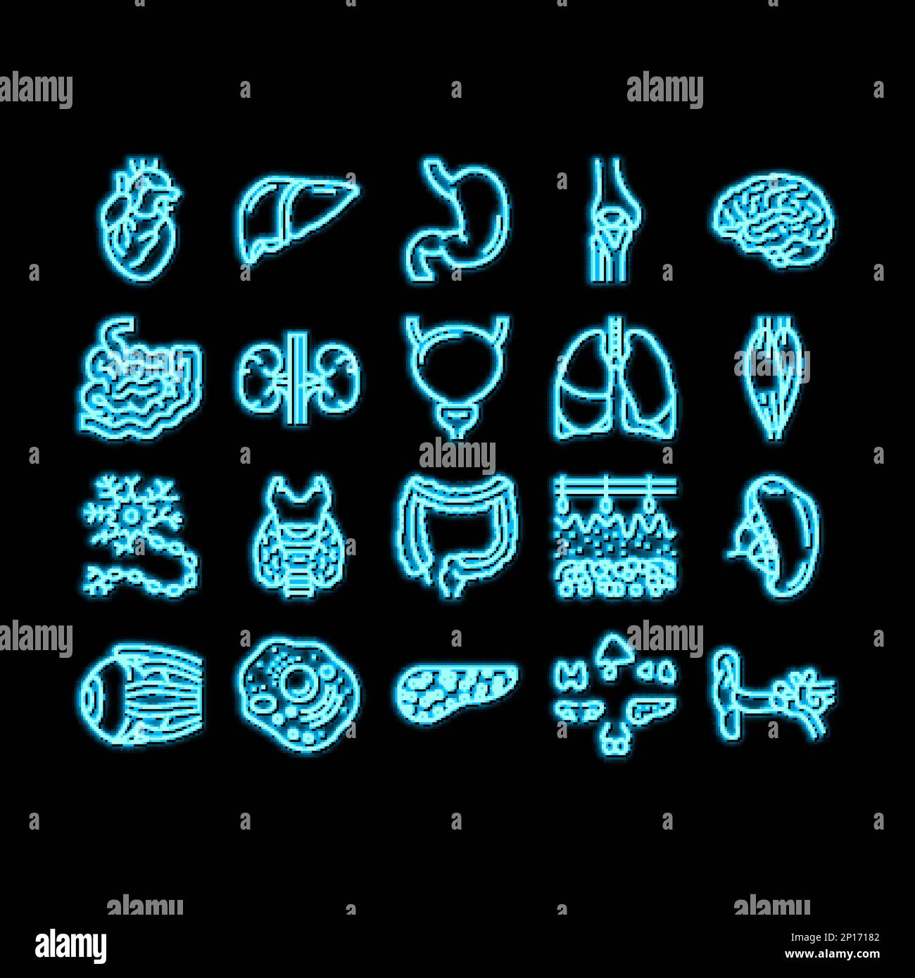 Human Internal Organ Anatomy neon glow icon illustration Stock Vector ...