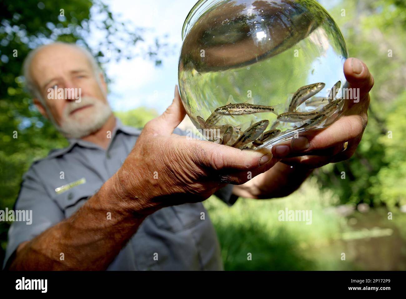 Lee Luedeker, wildlife manager with the Arizona Game and Fish ...
