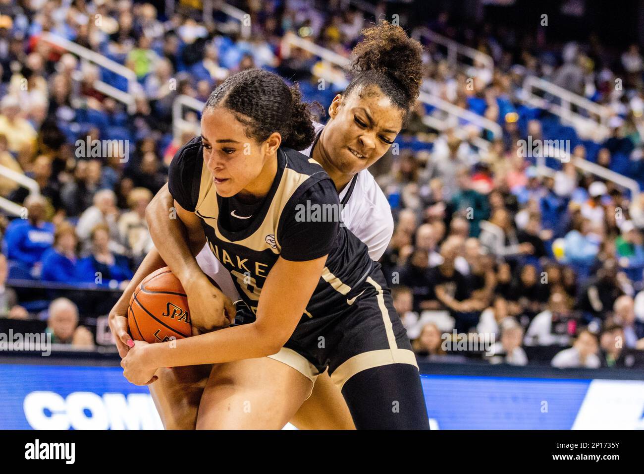 Csm scott andrews hi-res stock photography and images - Alamy