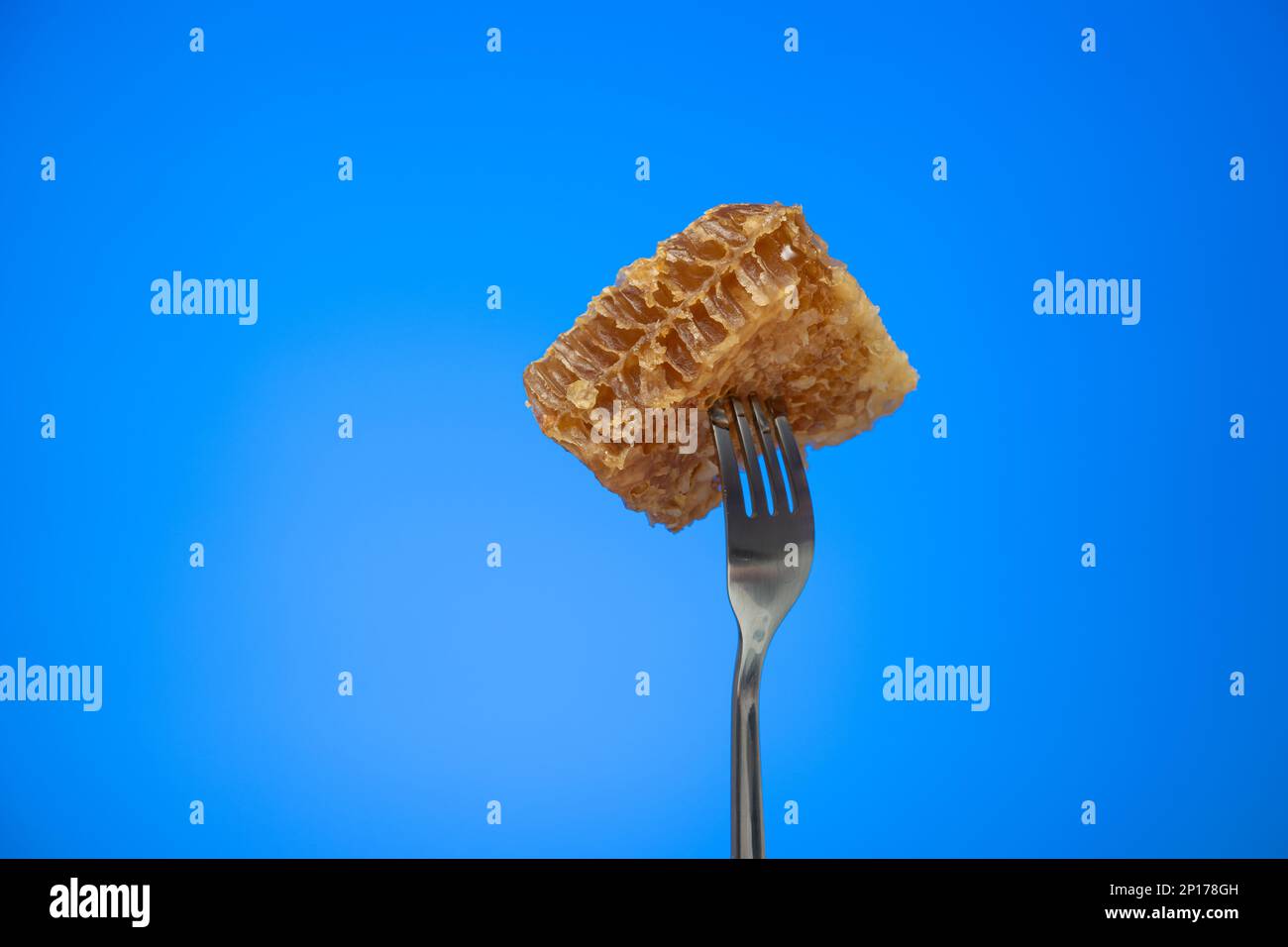 Bee hive honeycomb wax stuck on a fork isolated on blue background ...