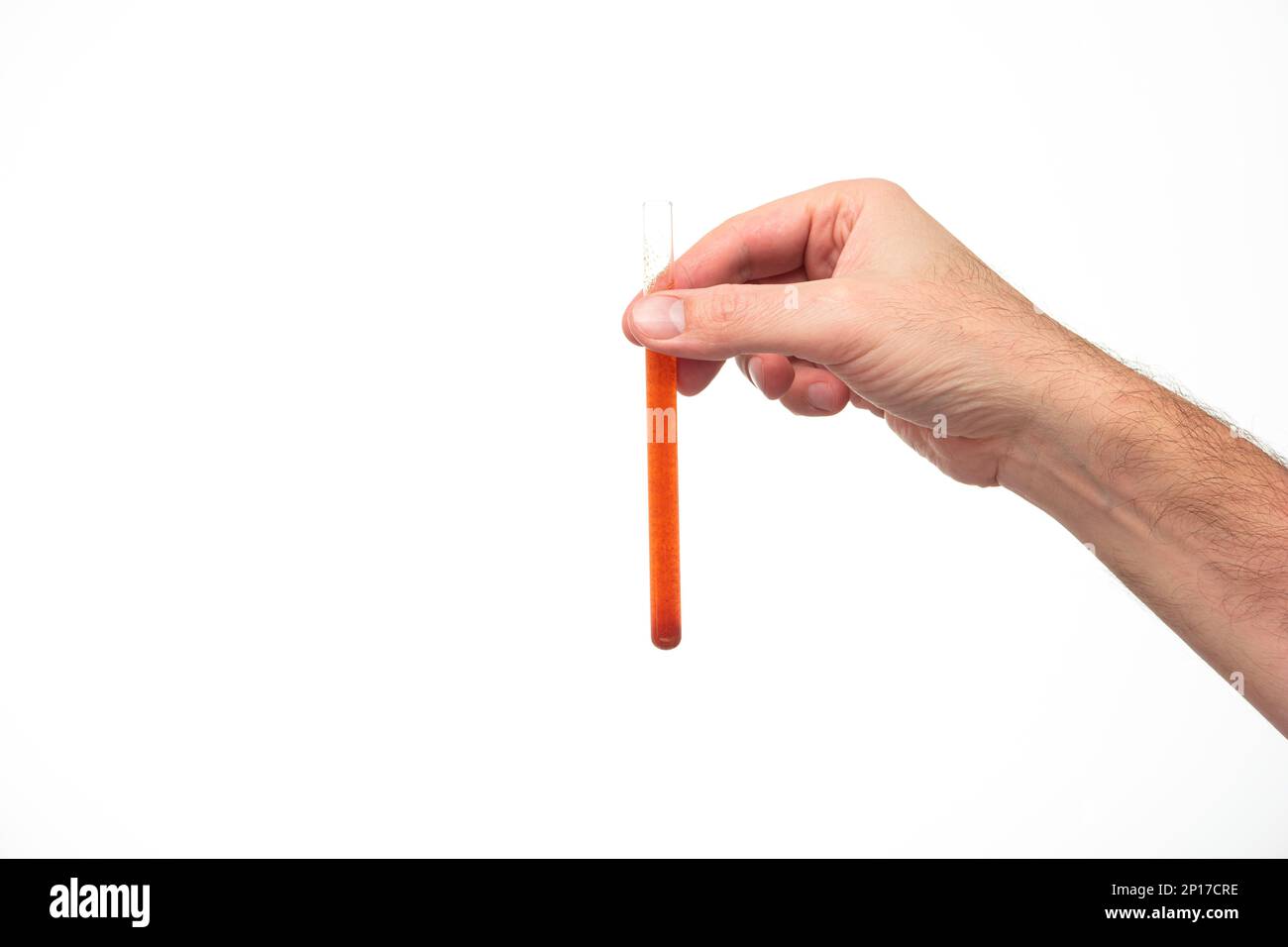 Test tube vial with red liquid held by Caucasian male hand isolated on ...