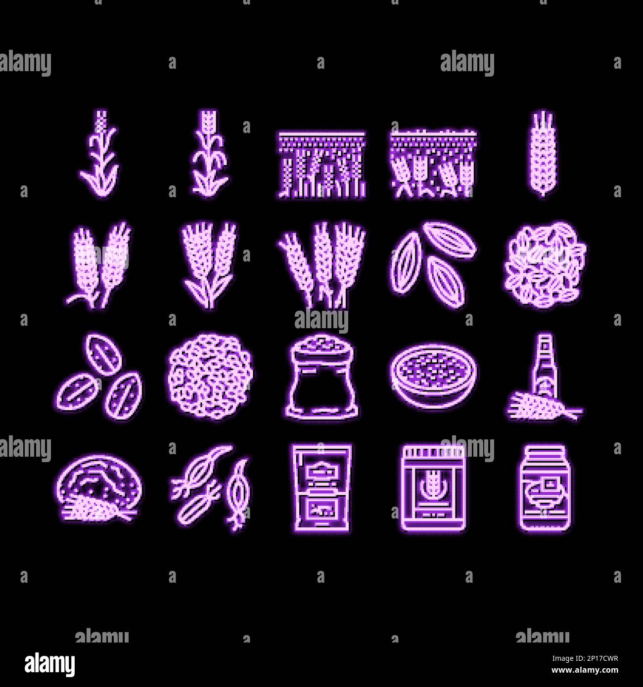 barley cereal grain harvest neon glow icon illustration Stock Vector ...