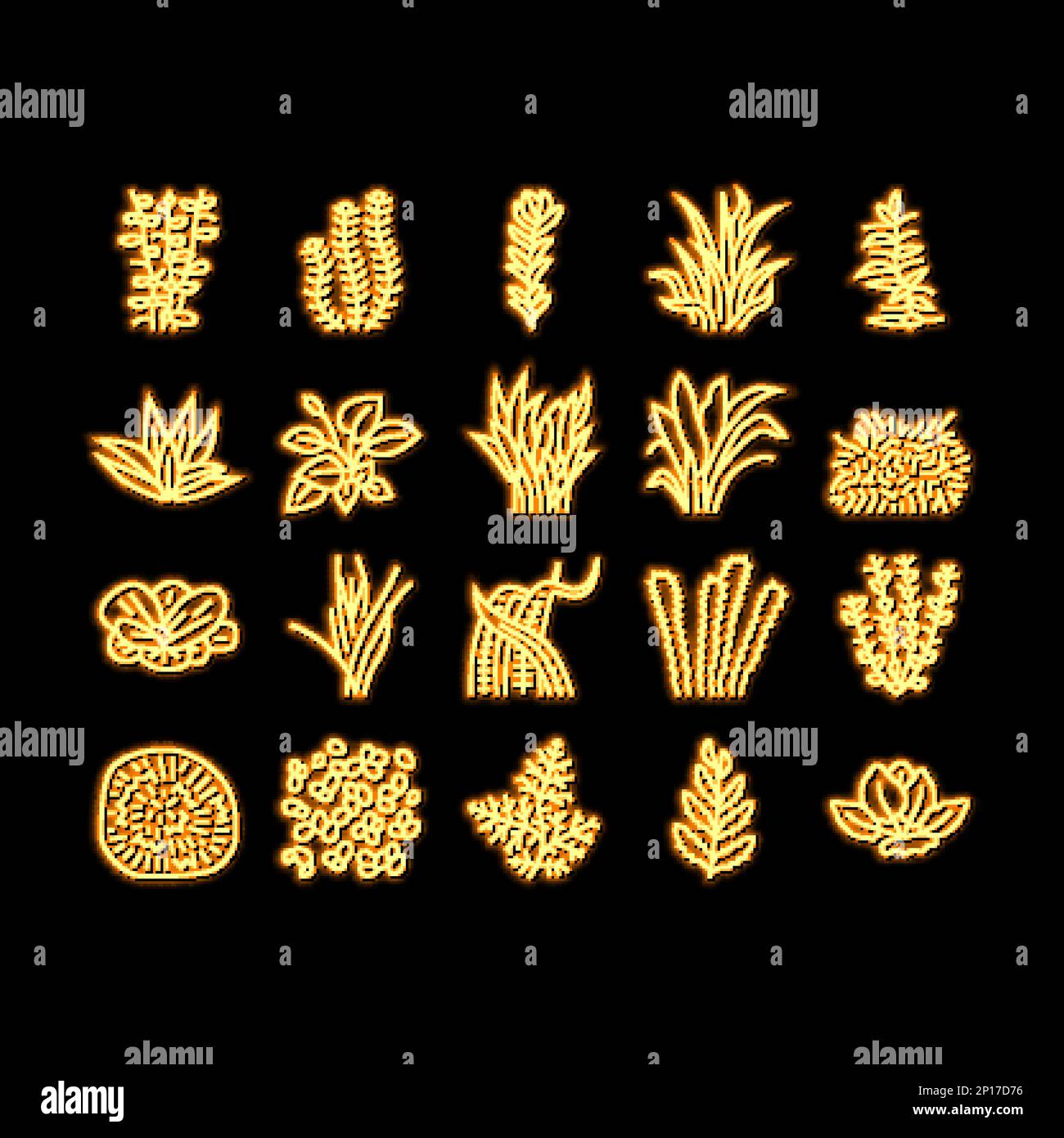 Aquatic Seaweed Natural Plant neon glow icon illustration Stock Vector Image & Art - Alamy