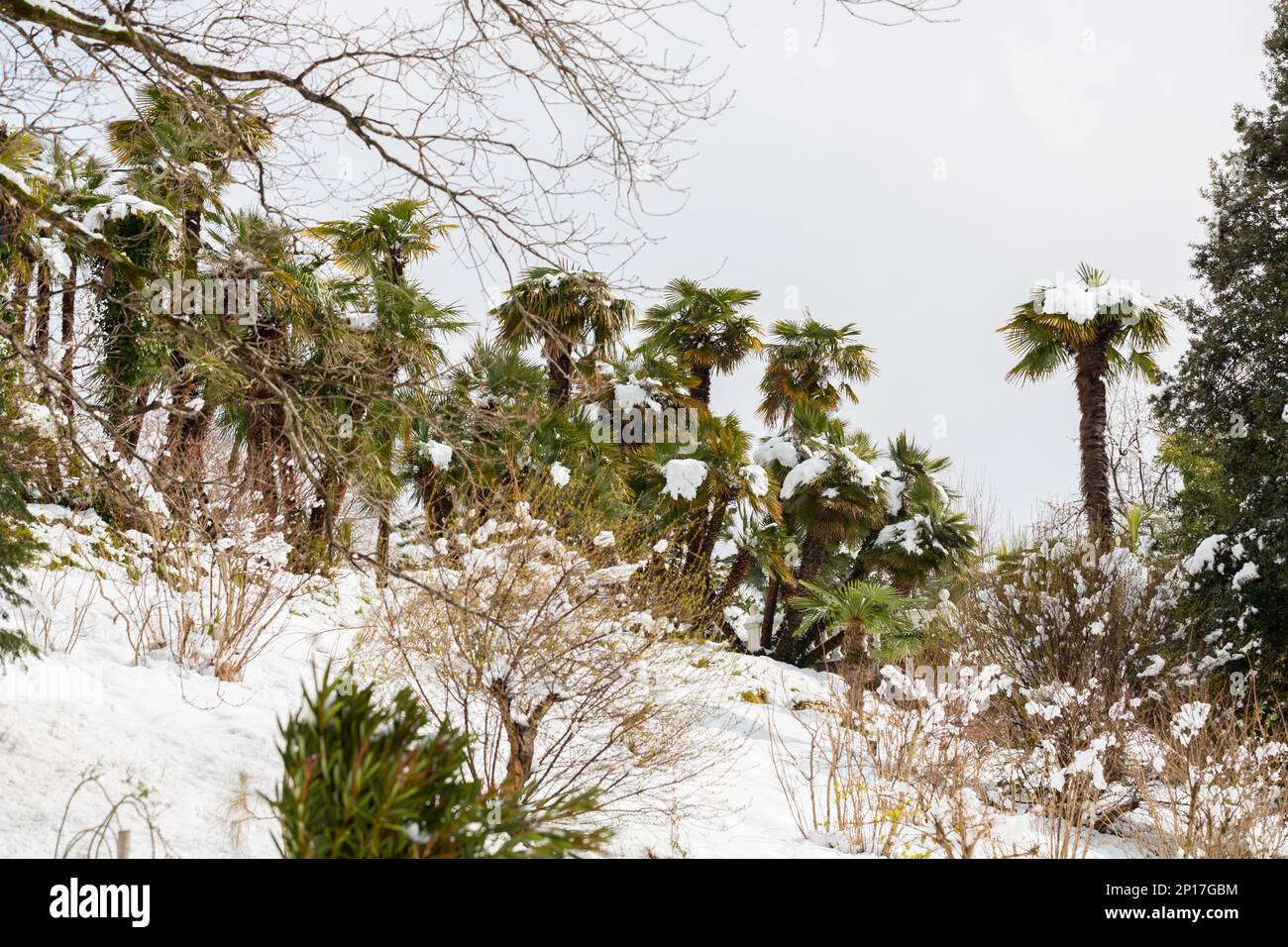 Sharp cold snap hi-res stock photography and images - Alamy