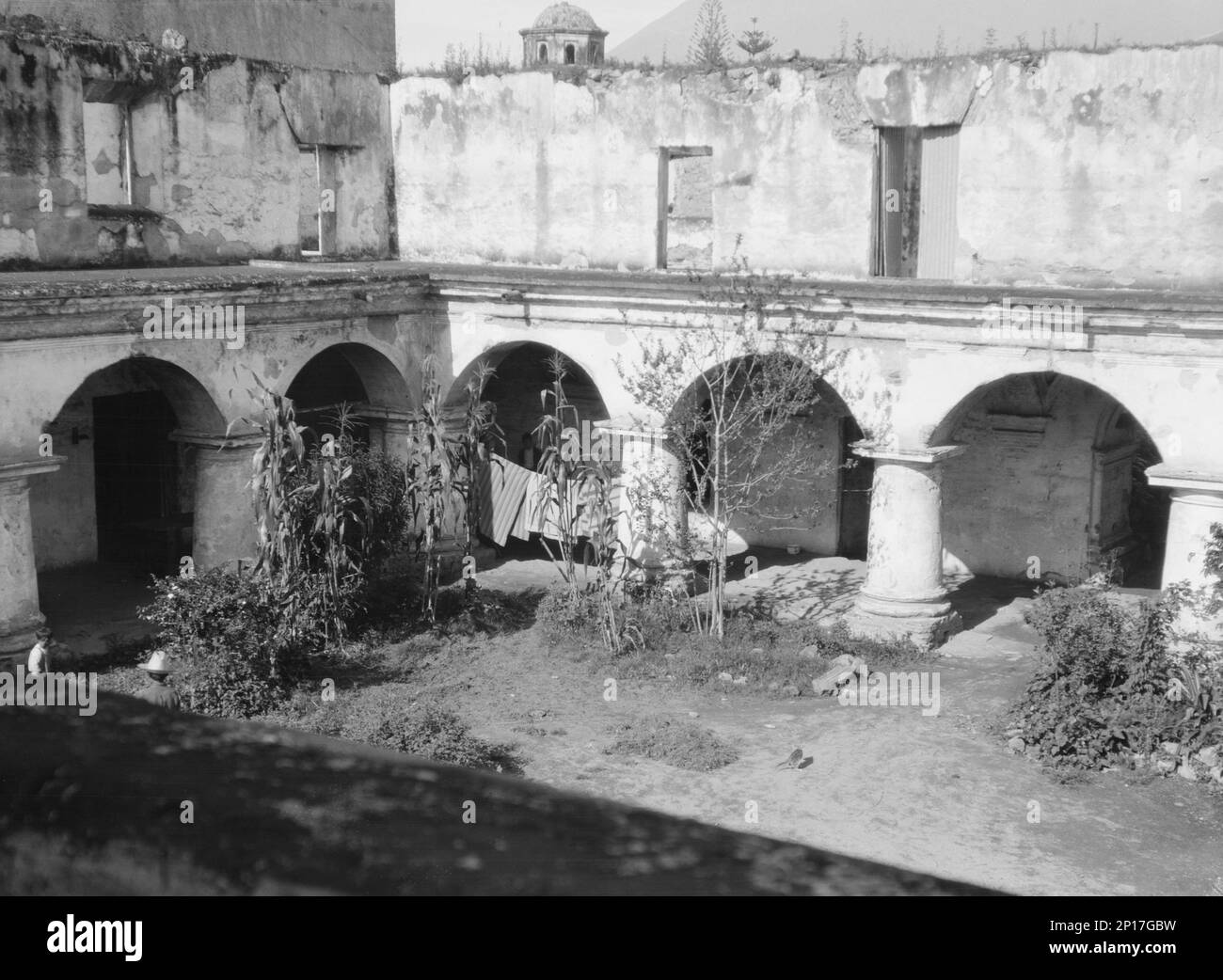 Travel views of Cuba and Guatemala, between 1899 and 1926. Maize and ...