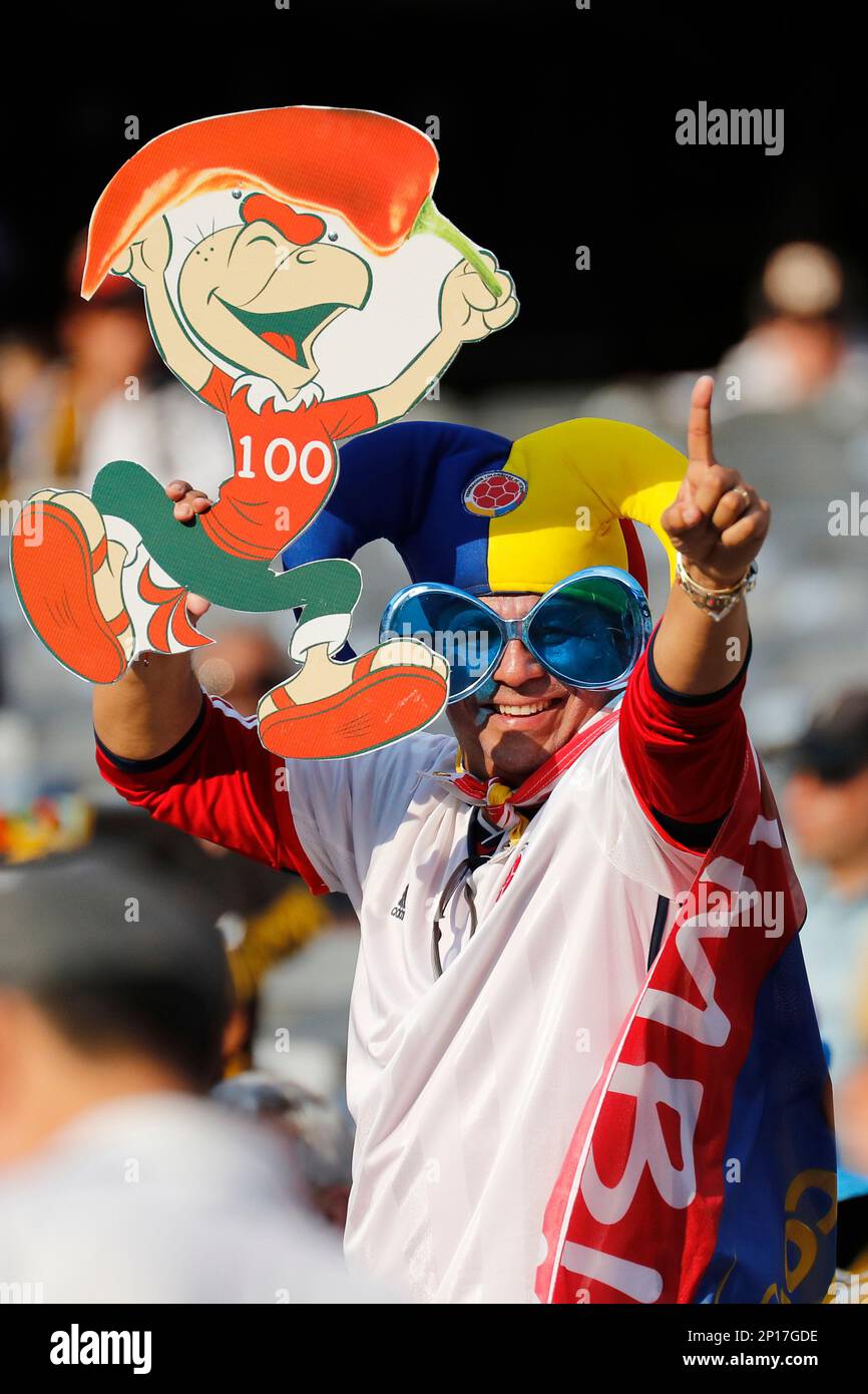 Copa america 2016 final hi-res stock photography and images - Alamy