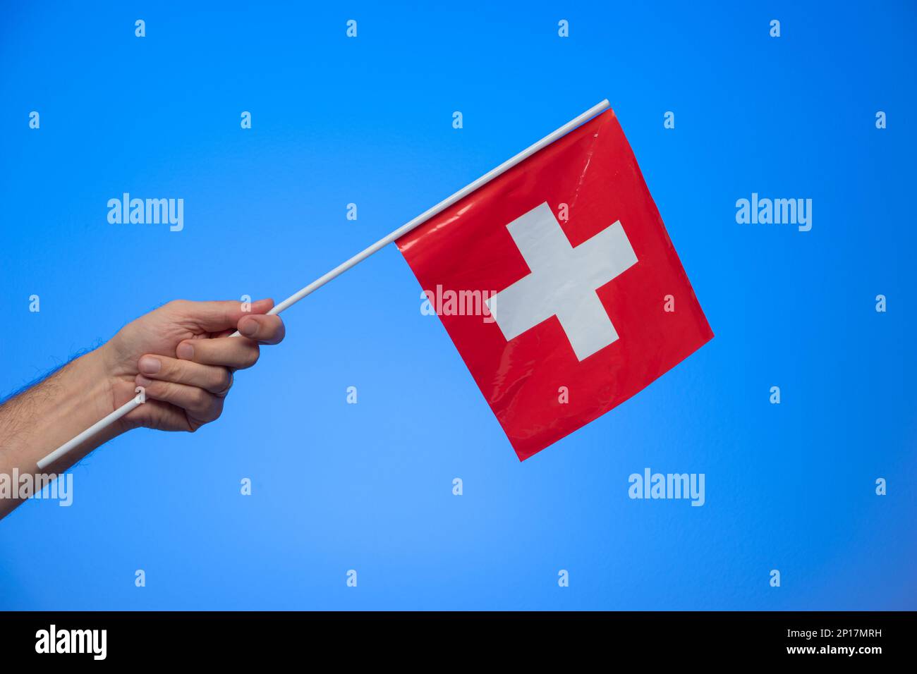 Small Swiss national flag held by Caucasian male hand isolated on blue ...