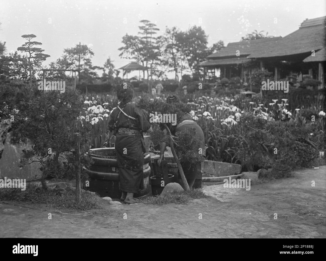 Travel views of Japan and Korea, 1908 Stock Photo - Alamy