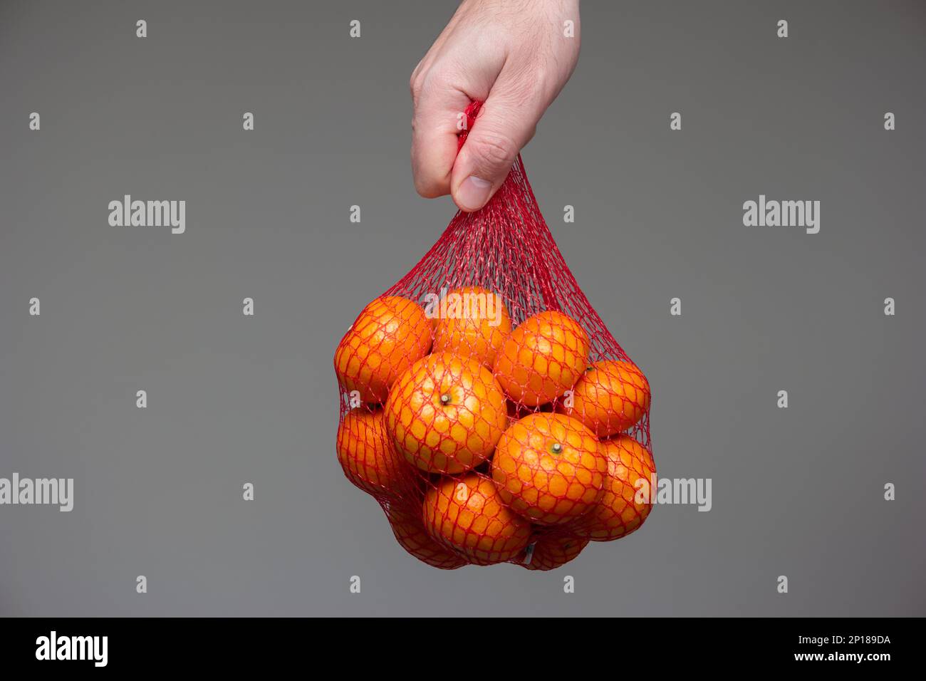 Group of fresh raw mandarin clementines in a plastic net bag held in ...
