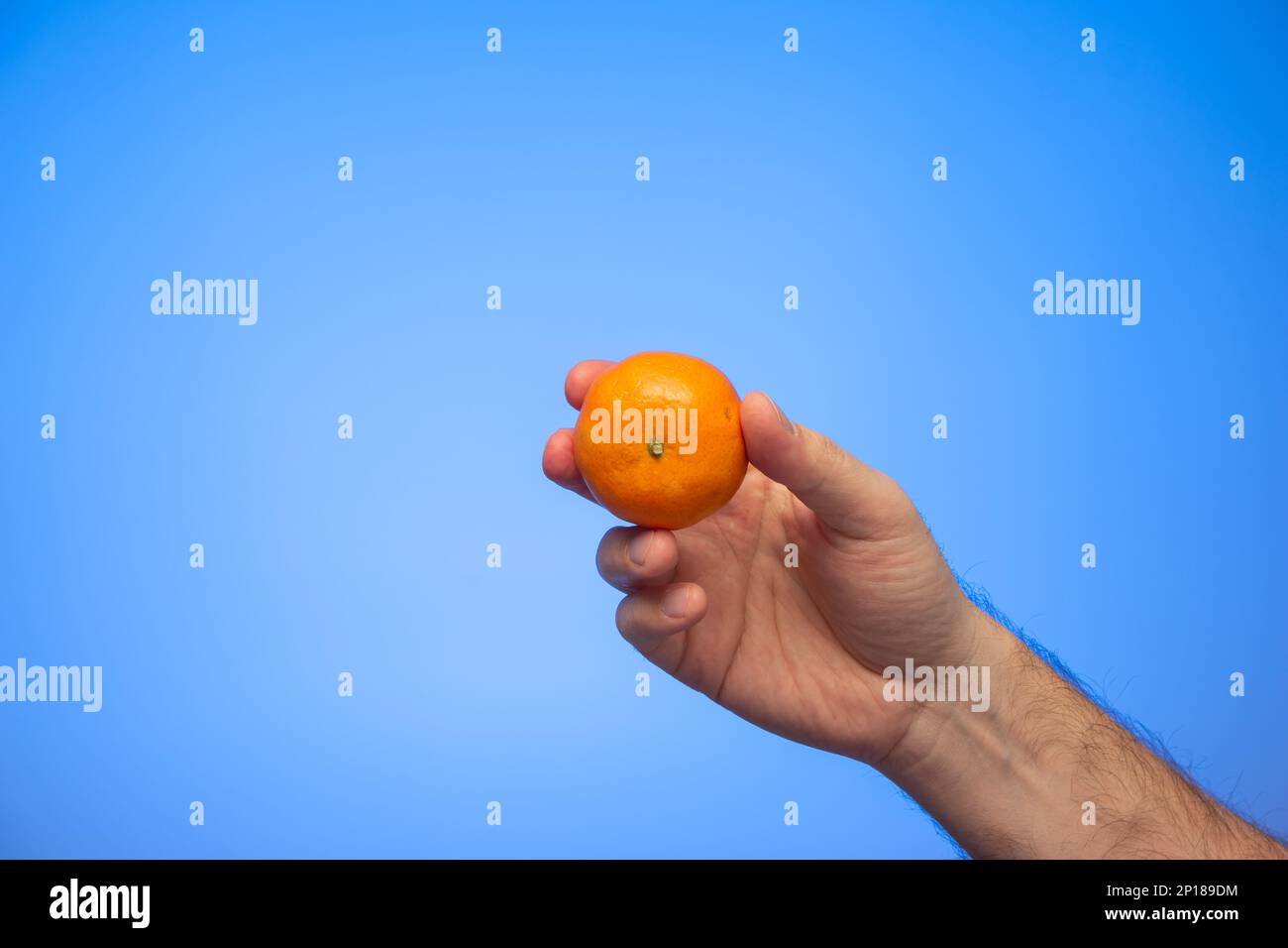 Single of fresh raw mandarin clementine held in hand by Caucasian male ...