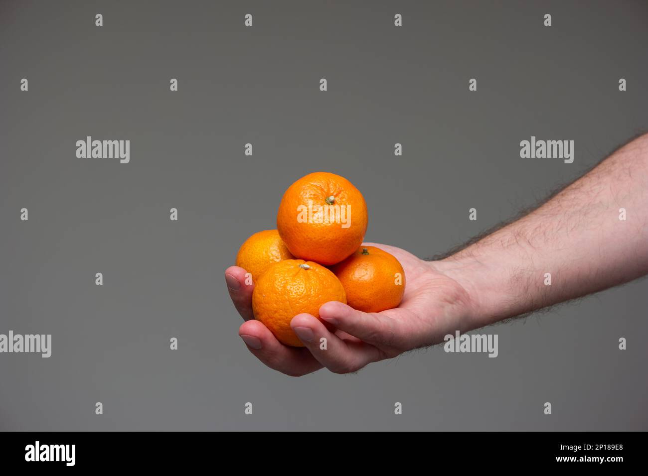 Group of fresh raw mandarin clementines held in hand by Caucasian male ...