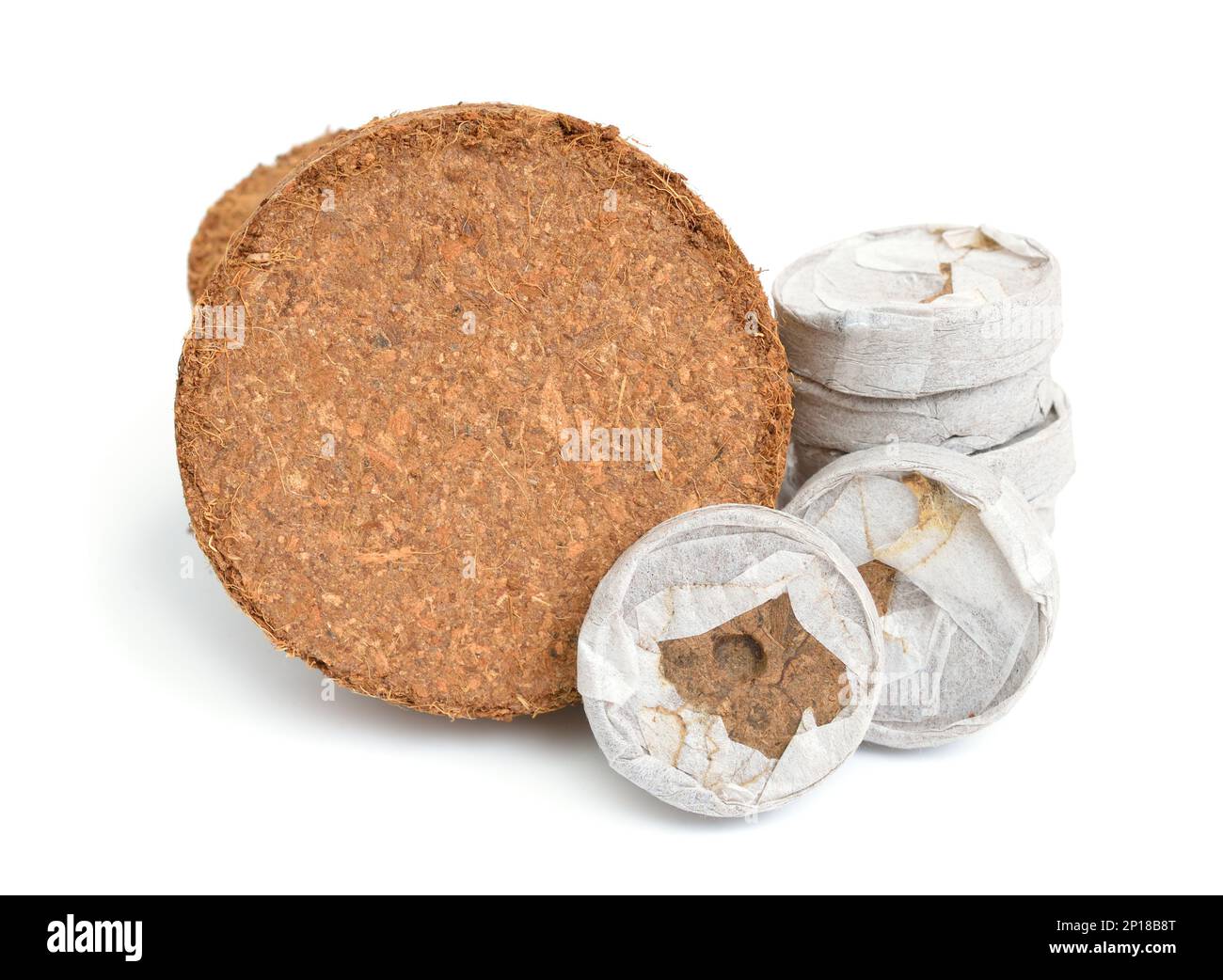Coconut Coir substrate. Pressed briquette with tabletes. Isolated on ...