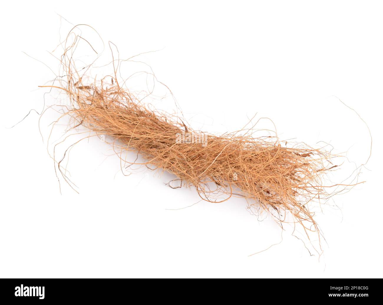 Coconut Coir fiber Isolated on White Background Stock Photo - Alamy