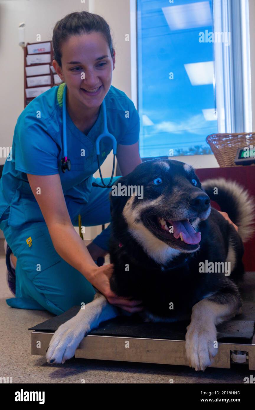 Dr. Rachel Hallman, Luke Air Force Base Veterinary Treatment Facility ...