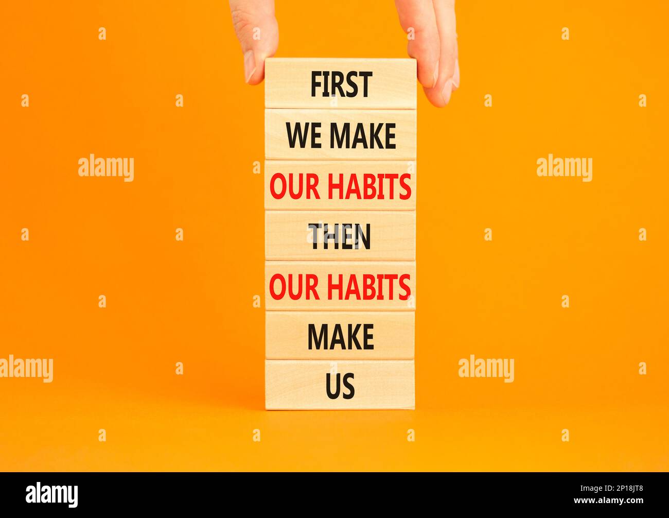 Our habits symbol. Concept words First we make our habits then our ...