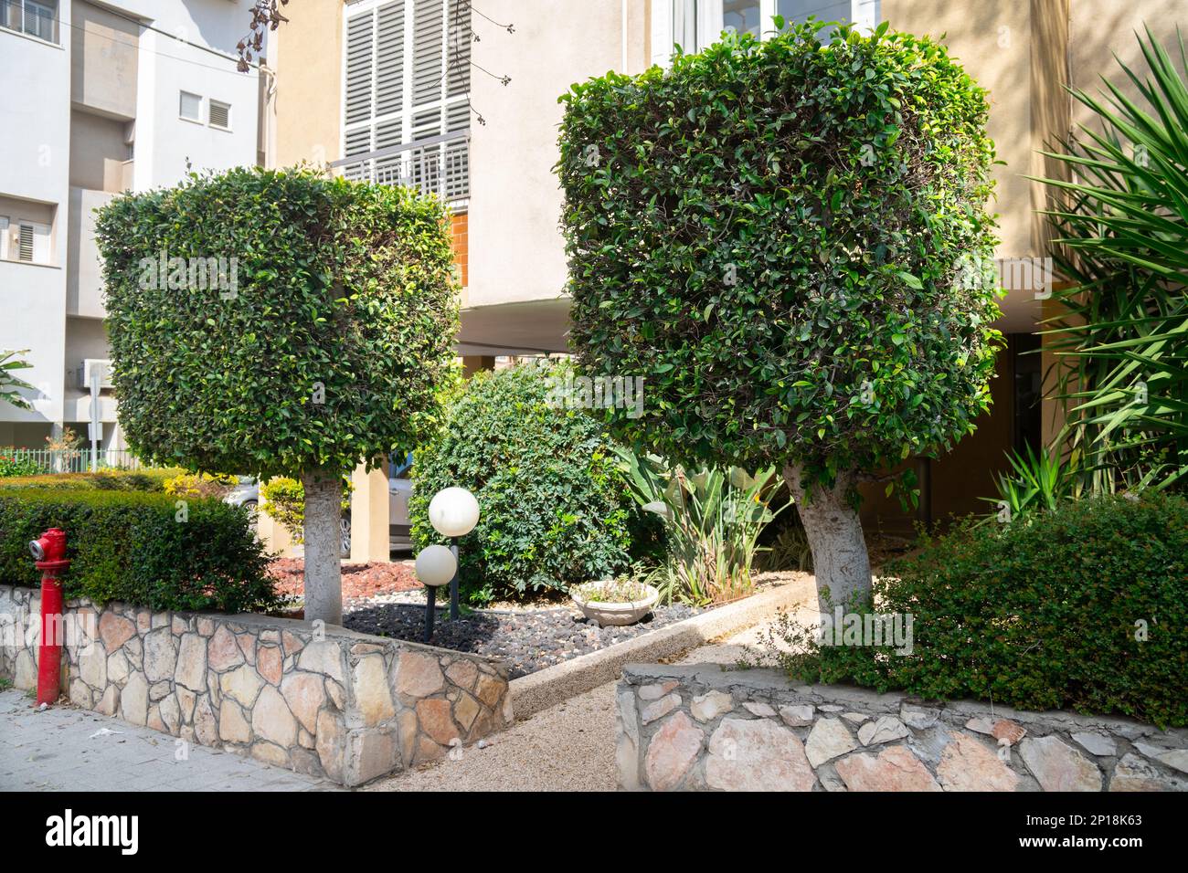 Cubic-shaped trimmed trees in front of the entrance of a residential ...