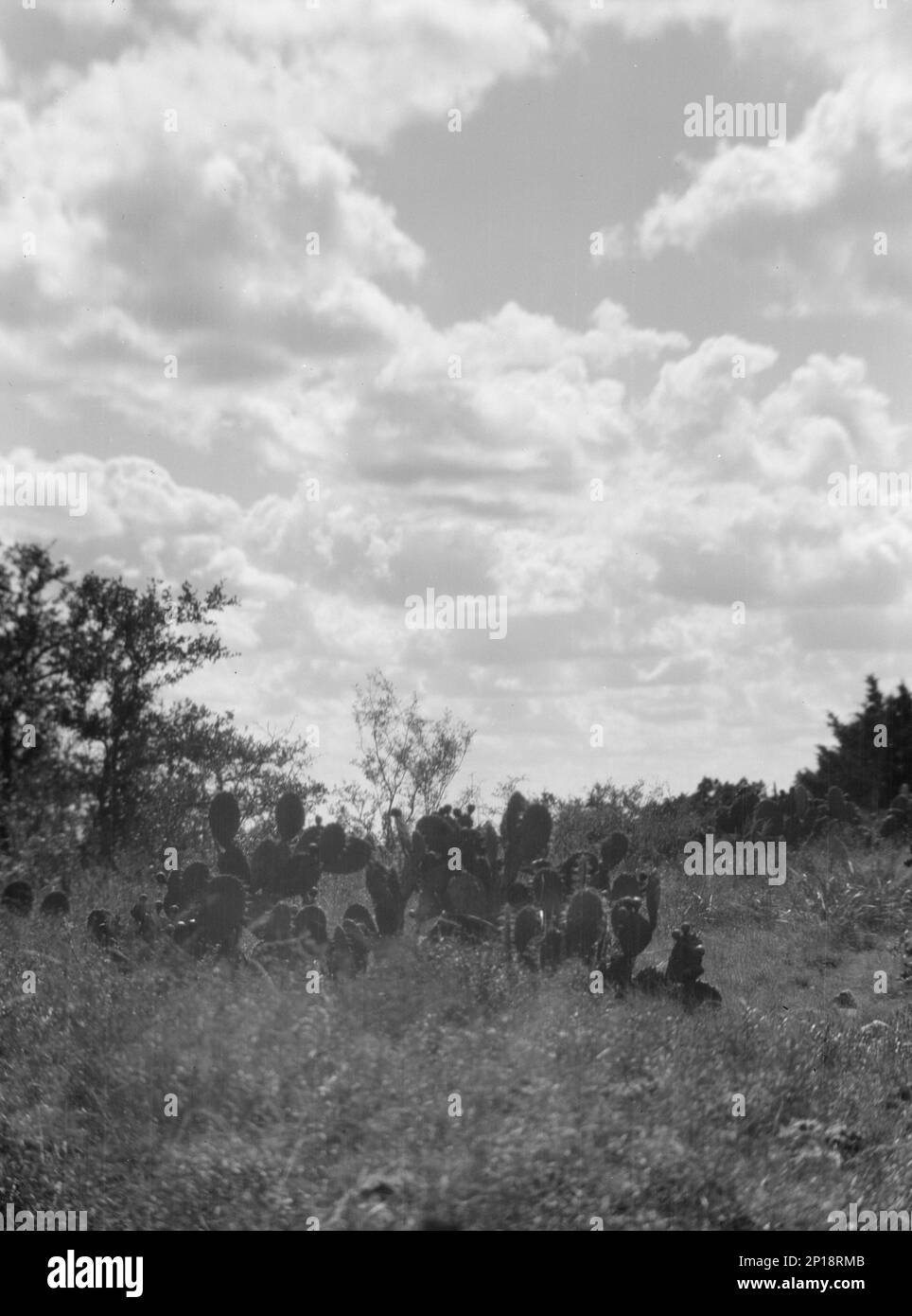 American southwest 1910s hi-res stock photography and images - Alamy
