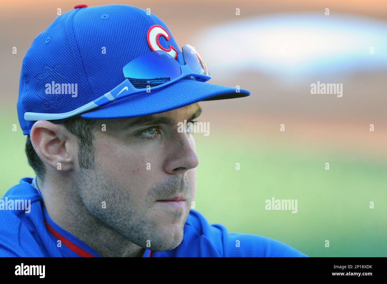 14 June 2016: Chicago Cubs left fielder Matt Szczur (20) stretches at ...