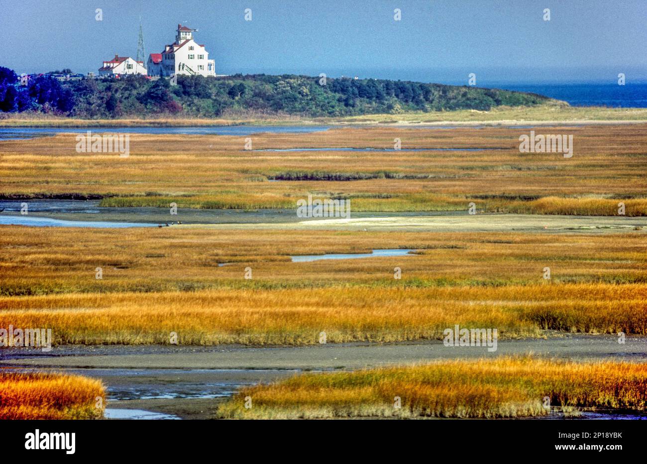 Nauset Marsh on Cape Cod seen from Fort Hill Stock Photo - Alamy