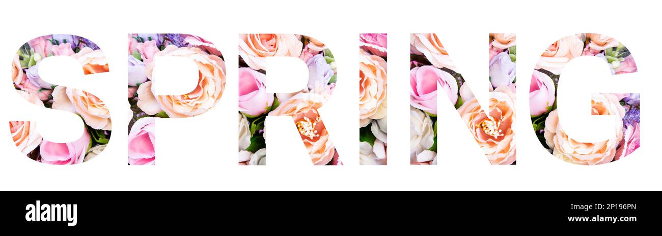 Spring writen from flowers on white background Stock Photo - Alamy