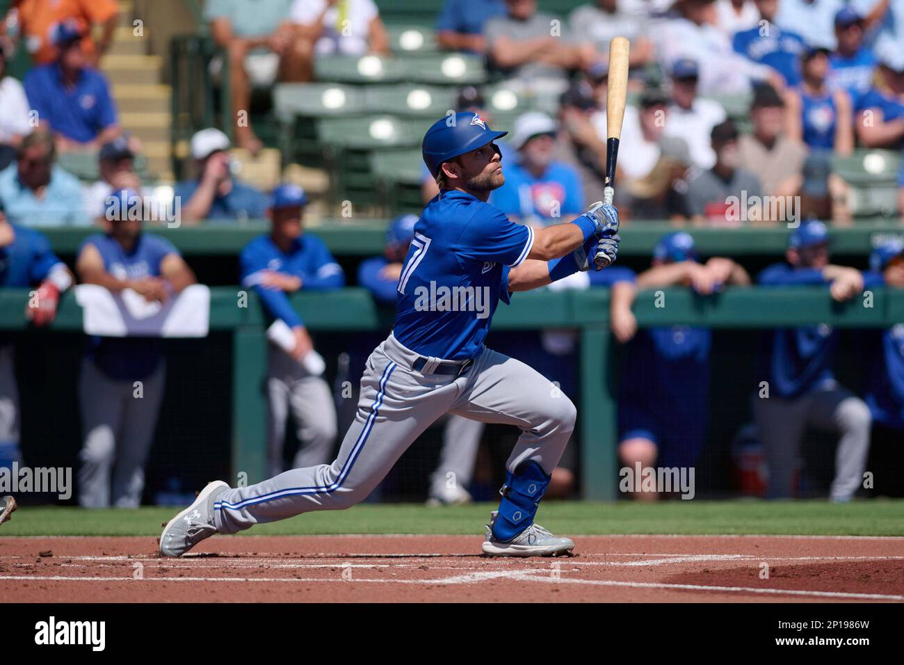 Toronto Blue Jays Vinny Capra (47) bats during a spring training ...