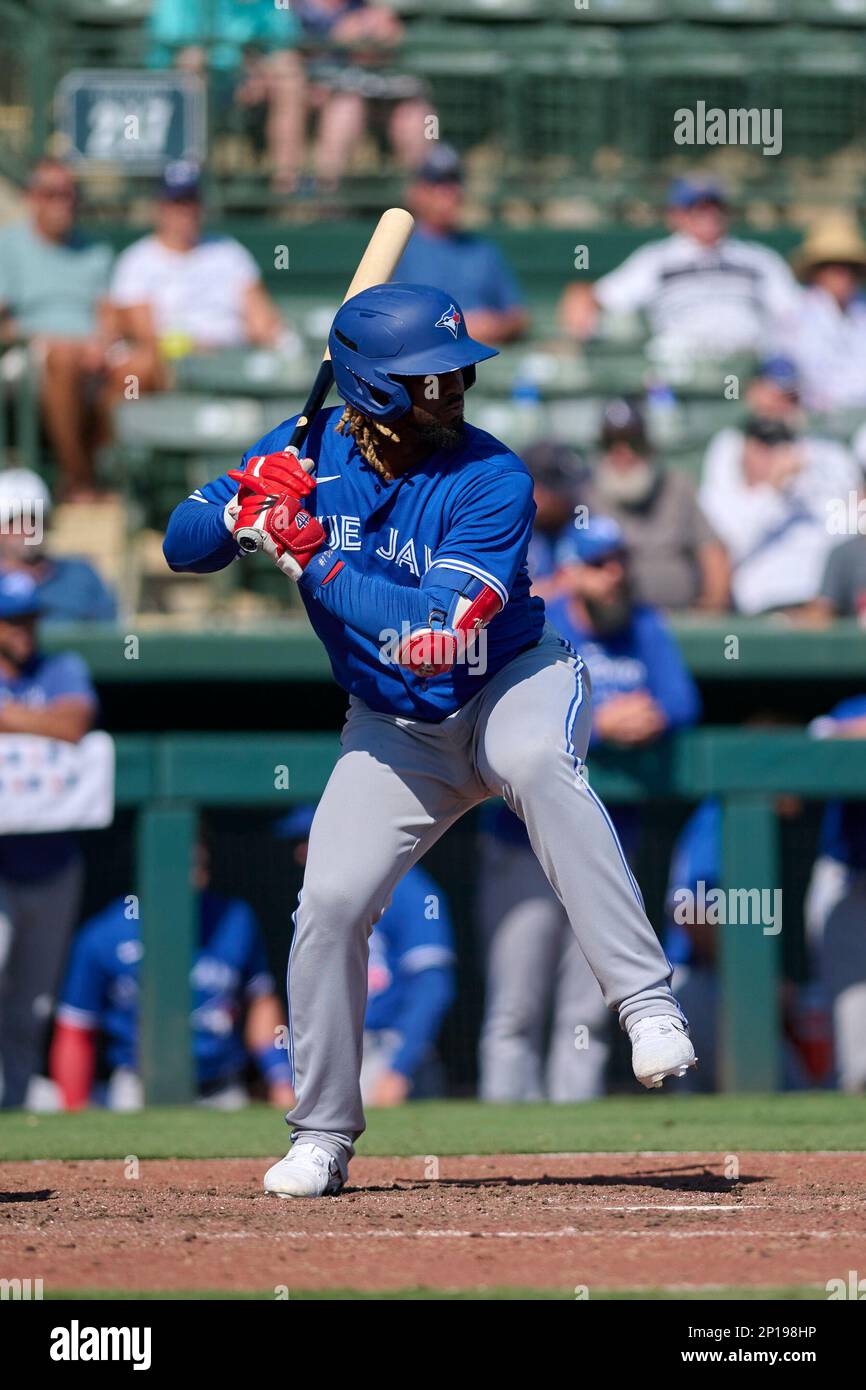 Toronto Blue Jays Rainer Nunez (94) bats during a spring training ...