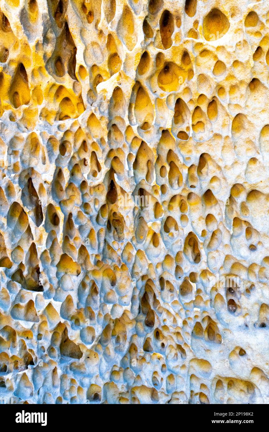 Weathered sandstone detail. Rock wall with small holes texture. Natural ...