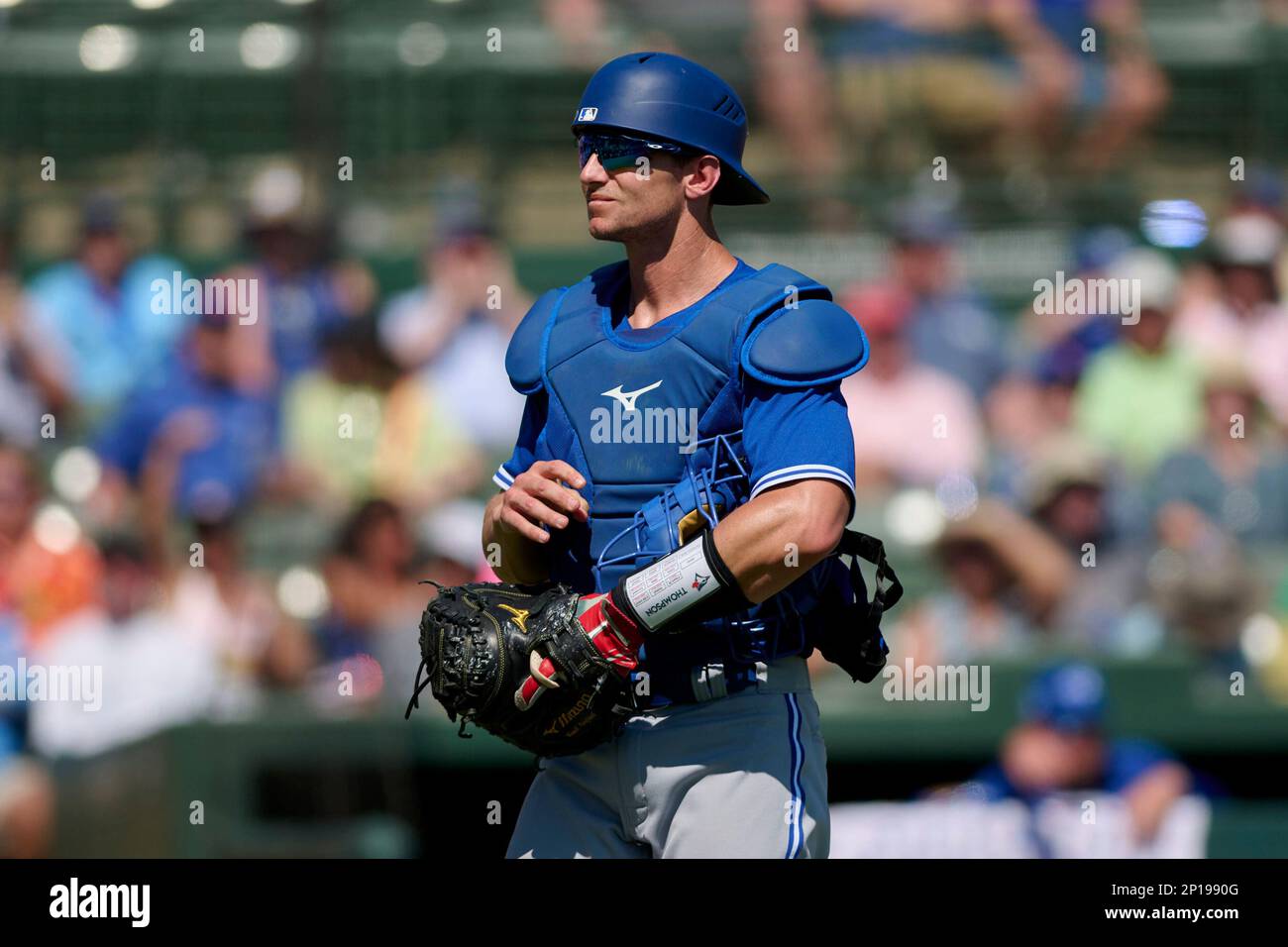 Toronto Blue Jays catcher Rob Brantly (55) during a spring training ...