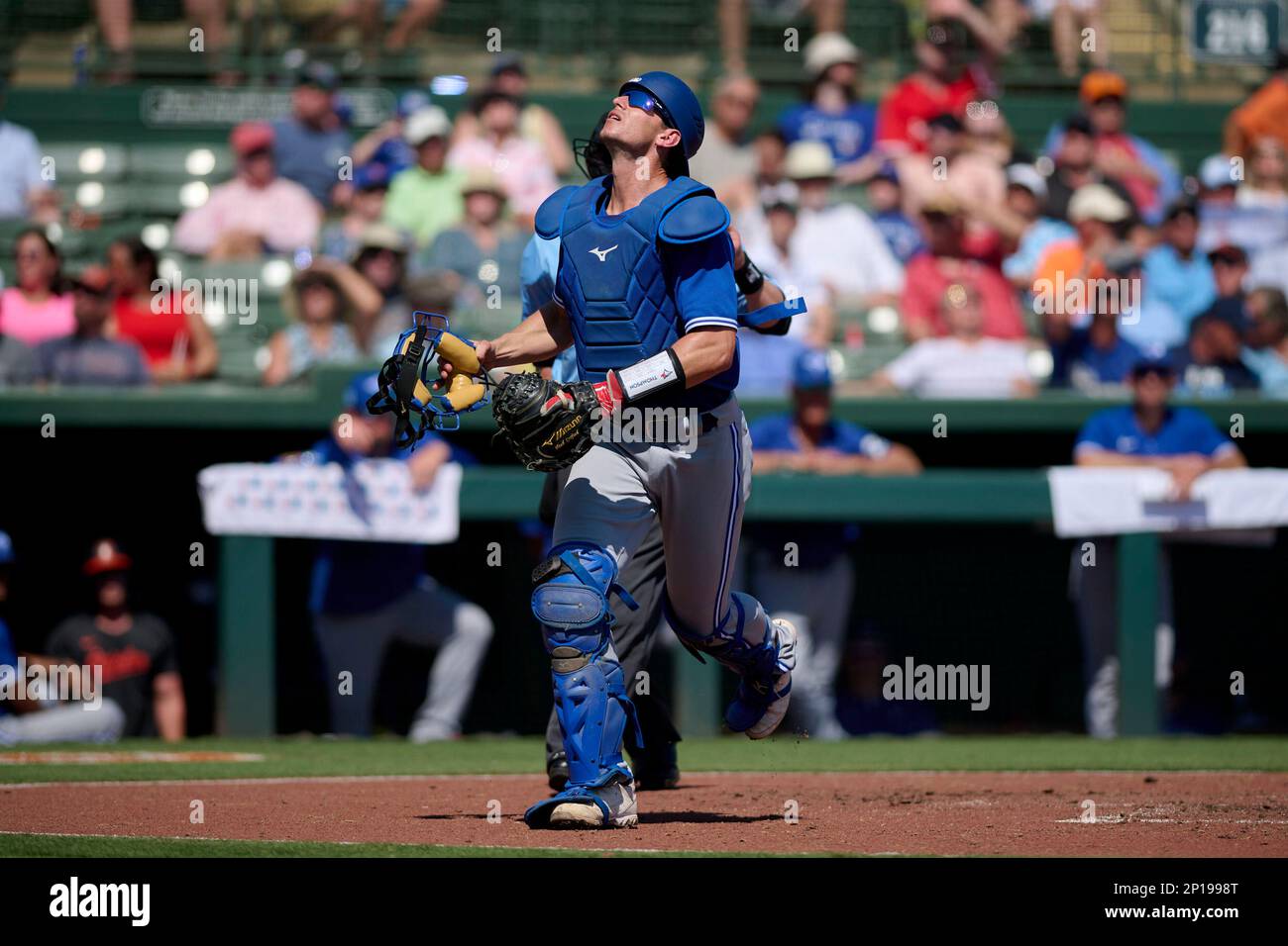 Toronto Blue Jays catcher Rob Brantly (55) tracks a foul ball during a ...