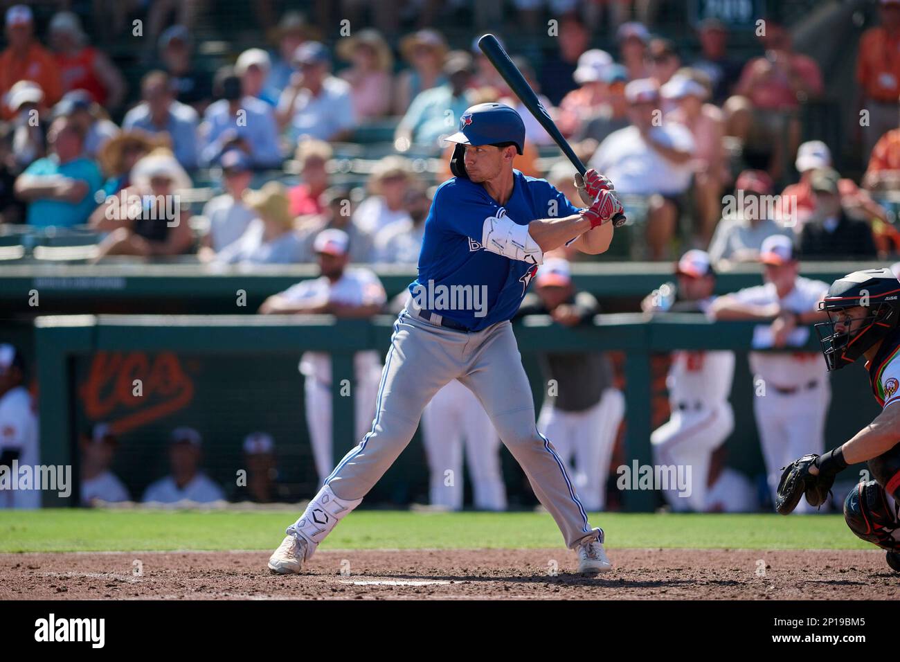 Toronto Blue Jays Rob Brantly (55) bats during a spring training ...