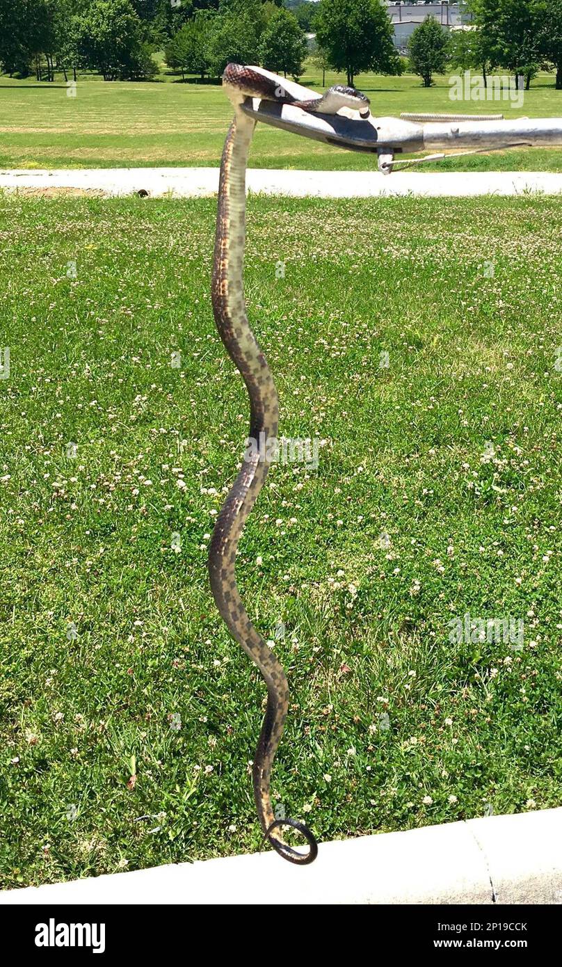 This photo provided by the Washington County Sheriff's Office shows the ...